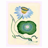 Sarah Gordon Design | Artist and Textile Designer