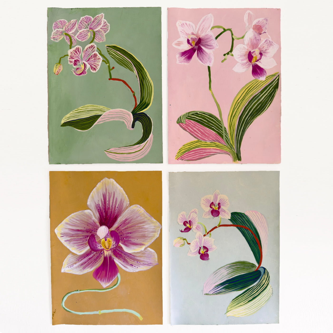 The Botanical Studies